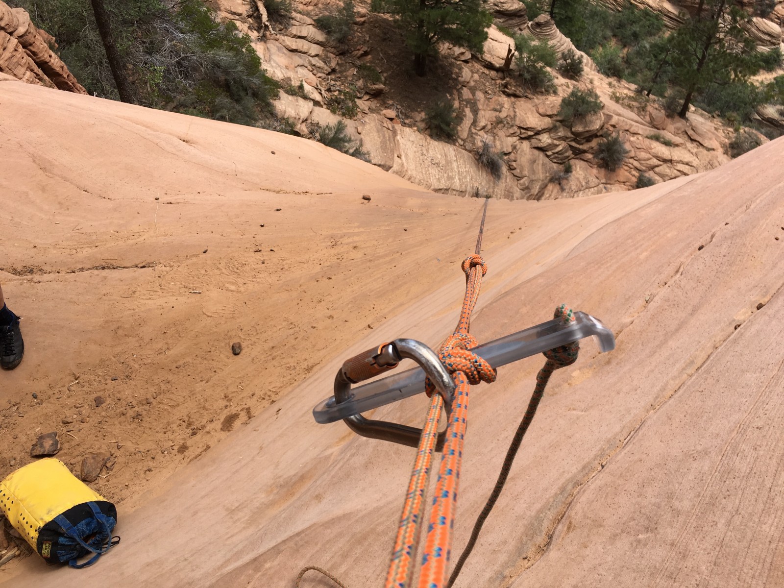 WHIPTAIL ANCHOR TOOL on www.Gun.Rodeo