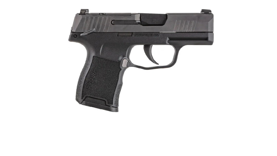 SIG SAUER P365-380 380 AUTO 3.1'' 10-RD SEMI-AUTO PISTOL on www.Gun.Rodeo