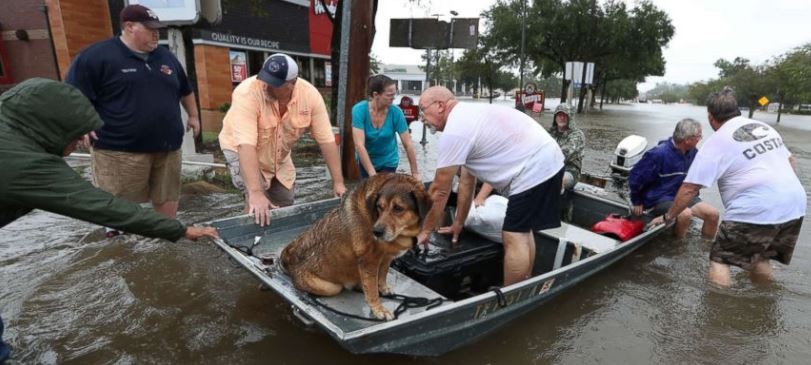 Donate to American Red Cross - Hurricane Harvey Disaster Relief